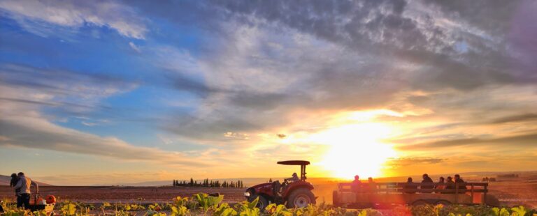 Animal Days: Spring on the Farm | Shindig Farms